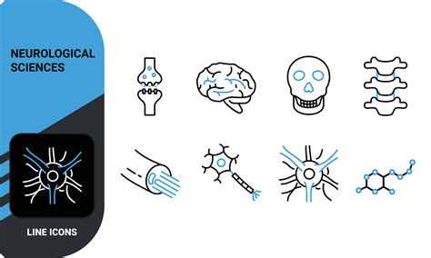 Neurological Sciences Icon Set Thin Linear Illustrations Of Brain Neuron Structure Nerve