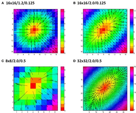 Examples Of Grid Sizes And Anisotropic Conduction Velocity Ratios