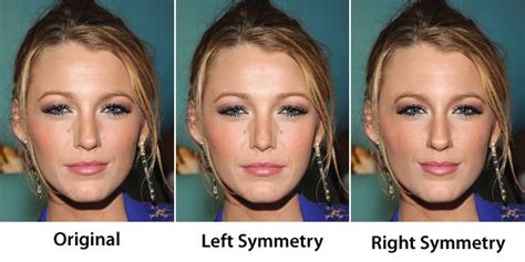 31 Best Facial Symmetry Images On Pinterest Facial Face And Faces