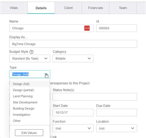 Field Values Project Type Bigtime Software