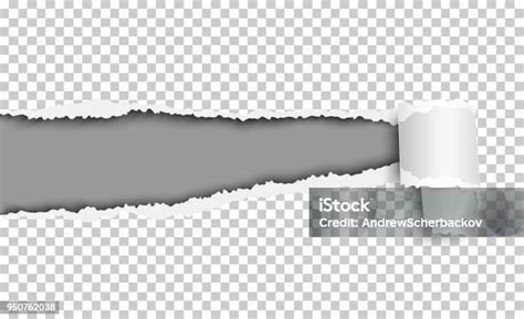 벡터는 종이 부드러운 그림자와 결과 창에 어두운 회색 배경 투명 체크 무늬 시트를 찢 어 서식 파일 종이 디자인 문서에 대한 스톡 벡터 아트 및 기타 이미지 Istock