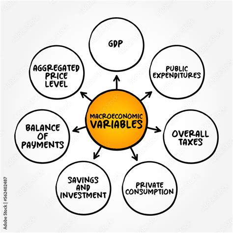 Macroeconomic Variables Mind Map Text Concept For Presentations And Reports Stock Vector Adobe