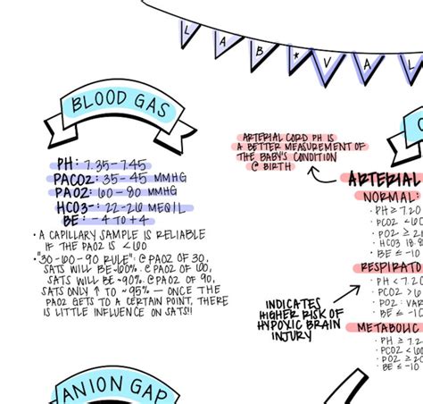 Neonatal Lab Values Nicu Nursing Nnp Notes Etsy