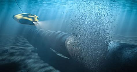 Underwater Critical Infrastructure Security How The Worlds Connectivity Remains Vulnerable