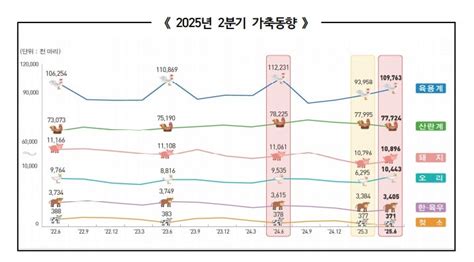 2분기 오리 사육 9 5 증가…한우·돼지·닭 줄어 뉴스1