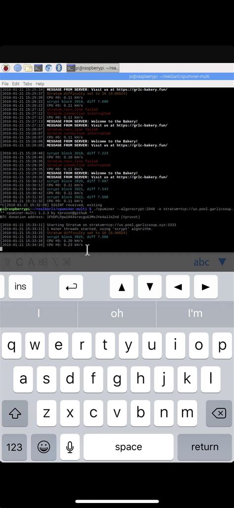 Mining On A Raspberry Pi R Garlicoin