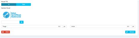bug error ukuran gambar visual pada pengaturan tinggi lebar tidak berfungsi · issue 7229