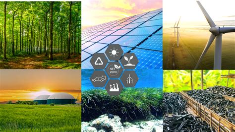 Carbon Offsetting Strategy