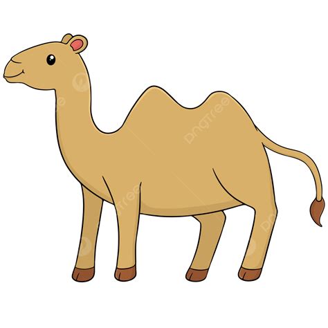 낙타 만화 일러스트 만화 일러스트 낙타 클립 아트 낙타 Png 일러스트 및 Psd 이미지 무료 다운로드 Pngtree