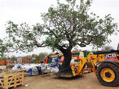 Constructed Trees Living Props