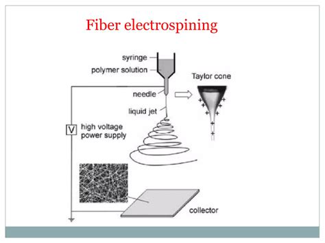 Polymeric And Metallic Scaffolds For Tissue Engineering Pptx