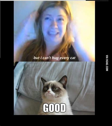 Grumpy Cat Strikes Again 9gag