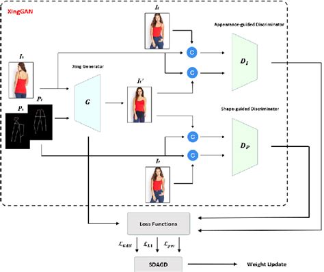 Figure 1 From Two Phase Switching Optimization For Generative Adversarial Network In Pose