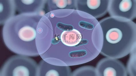 线粒体和 Dna 线粒体 Dna 线粒体，高清摄影大图 千库网