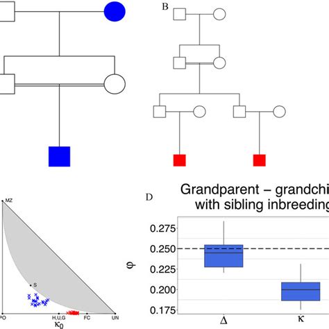 Ibd Coefficients Estimation And Kinship Coefficient Computation For