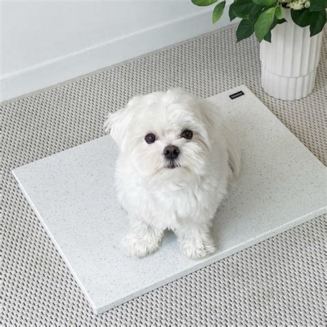 베베페페 강아지 고양이 대리석 쿨매트 엔지니어드스톤 페오펫몰