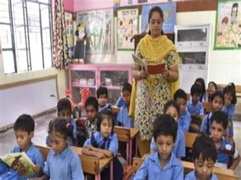 Ctet And State Tet Uptet Reet Bihar Stet Which Is Best Option For Teachers Ctet या स्टेट Tet