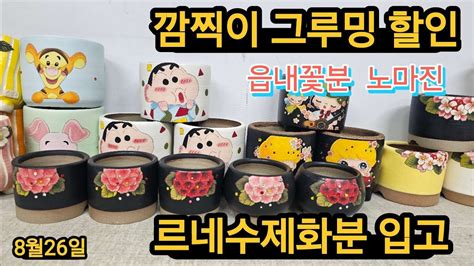 8월26일 토끼네화분 르네수제화분 그루밍 읍내꽃분 Youtube