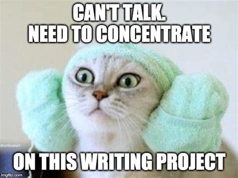 Funny Essay Memes