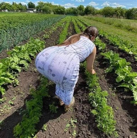 မြန်မာအိုးလှလှလေးများ