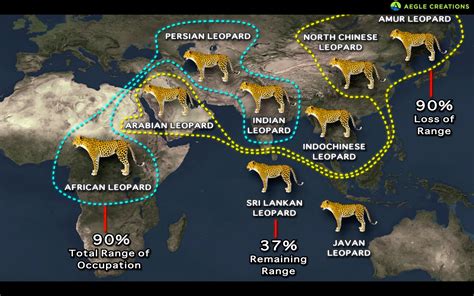 Aegle Creations A Distribution Map Of All 9 Leopard Facebook
