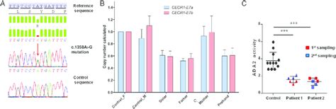 Illustration Of The Mutation And Ada2 Activity A Sanger Sequencing