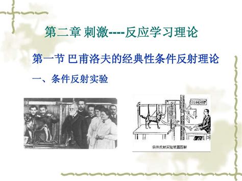 第二章 刺激 反应学习理论 Word文档在线阅读与下载 无忧文档
