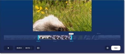 Best Ways To Trim MP Online For Free