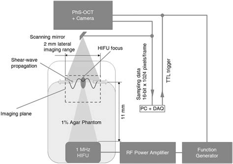 Scanning Protocols For The Phs Oct And Hifu Transducer For 2d Capture