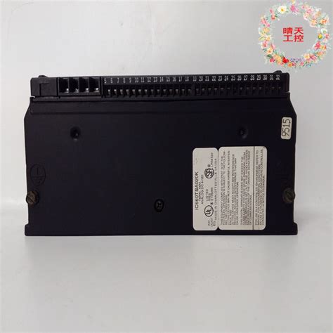 ic660bba020 analog input output module 24 48 vdc 4 input 2 output