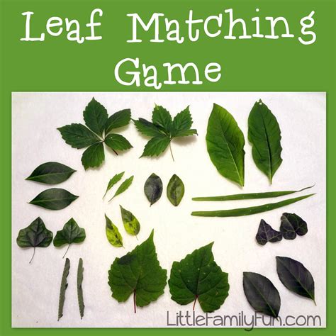 Leaf Matching Game