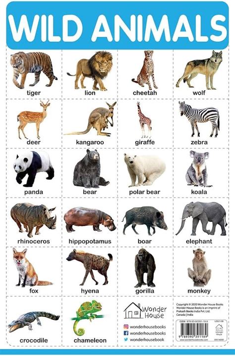 Animals That Start With Wild