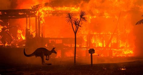 La Historia Detrás De La Fotografía Que Mejor Ilustró El Drama De Los Incendios En Australia