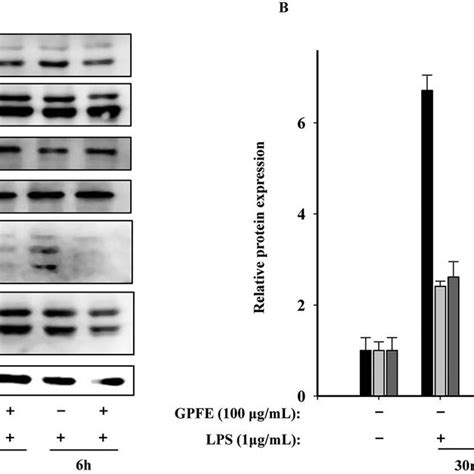 Hplc Gradient Elution Procedure Download Scientific Diagram