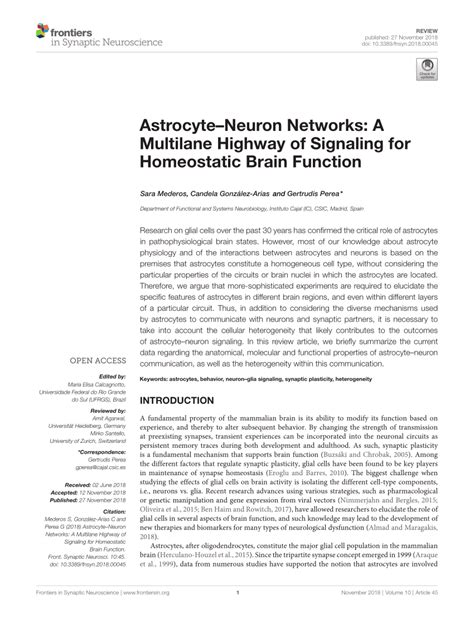 Pdf Astrocyteneuron Networks A Multilane Highway Of Signaling For