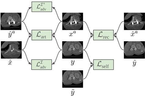 An Illustration Of The Relationships Between The Loss Functions And Download Scientific Diagram