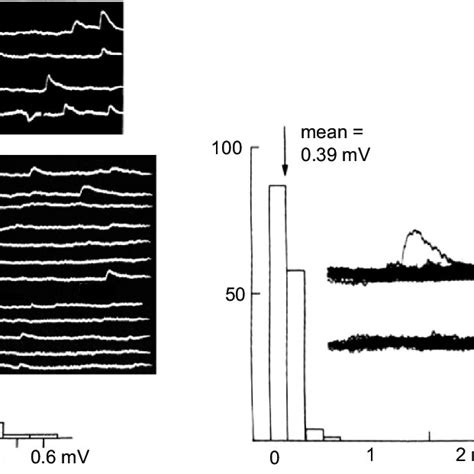 Spontaneous Miniature Synaptic Responses At Cns Synapses Aa Download Scientific Diagram