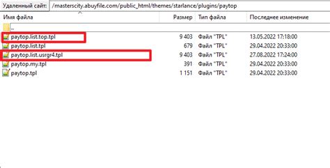 Плагин 🔝 Paytop — Freelance Php Script