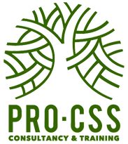 Professional Concept Solutions Strategy Consulting And Training For Industry Pro CSS