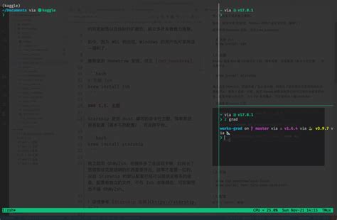 打造 macos linux 优雅终端（starship zsh） 知乎