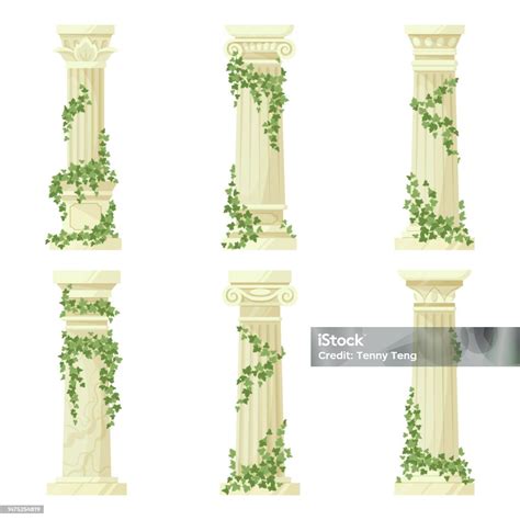 아이비로 덮인 클래식 열 벡터 세트입니다 만화 그리스 골동품 로마 기둥 등반 담쟁이 분기 격리 평면 벡터 일러스트 컬렉션 0명에