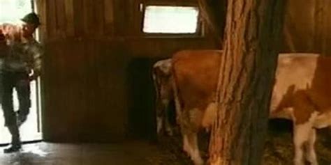 Famile Sex On The Farm Tnaflix Com