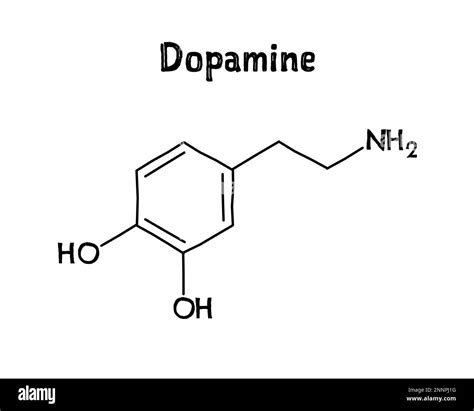 Dopamine Molecular Structure Dopamine Is Neurotransmitter With Important Role In Human Body