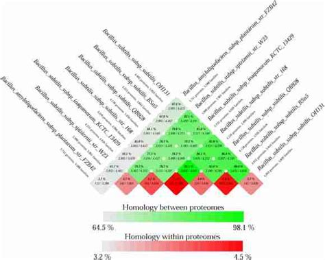 Protein Coding Region Comparisons Between B Subtilis Subsp Subtilis