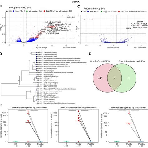 Identification Of Rna Biomarker Candidates In Non Coding Rna Biotypes Download Scientific