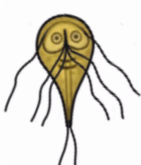 寄生贾第鞭毛虫抗原ELISA检测试剂盒 广州健仑生物科技有限公司