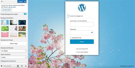 How To White Label Wordpress Of The Best Ways Shown Here