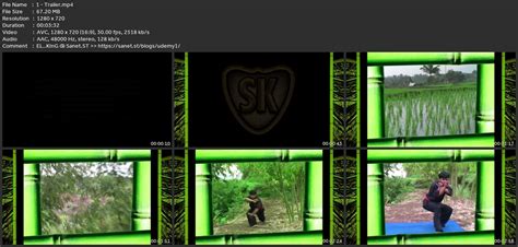 Pencak Silat Pamacan Tiger Fighting System From Java Vol 3 SoftArchive