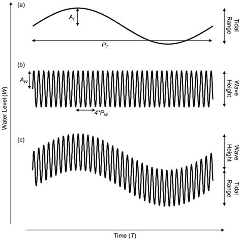 Between Tide And Wave Marks A Unifying Model Of Physical Zonation On Littoral Shores PeerJ