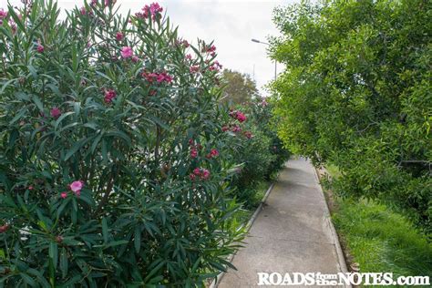 Забележителности в Барселона за 4 дни Roads From The Notes